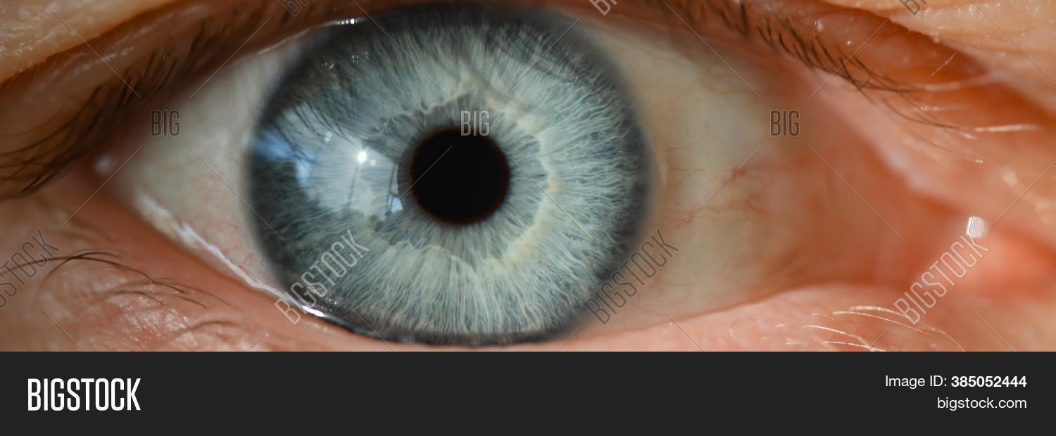 Blue Male Human Eye Image & Photo (Free Trial) | Bigstock