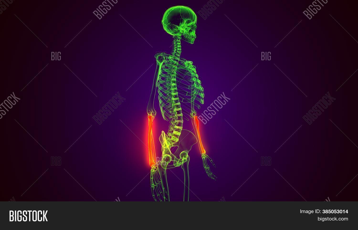 3d Render Human Image & Photo (Free Trial) | Bigstock