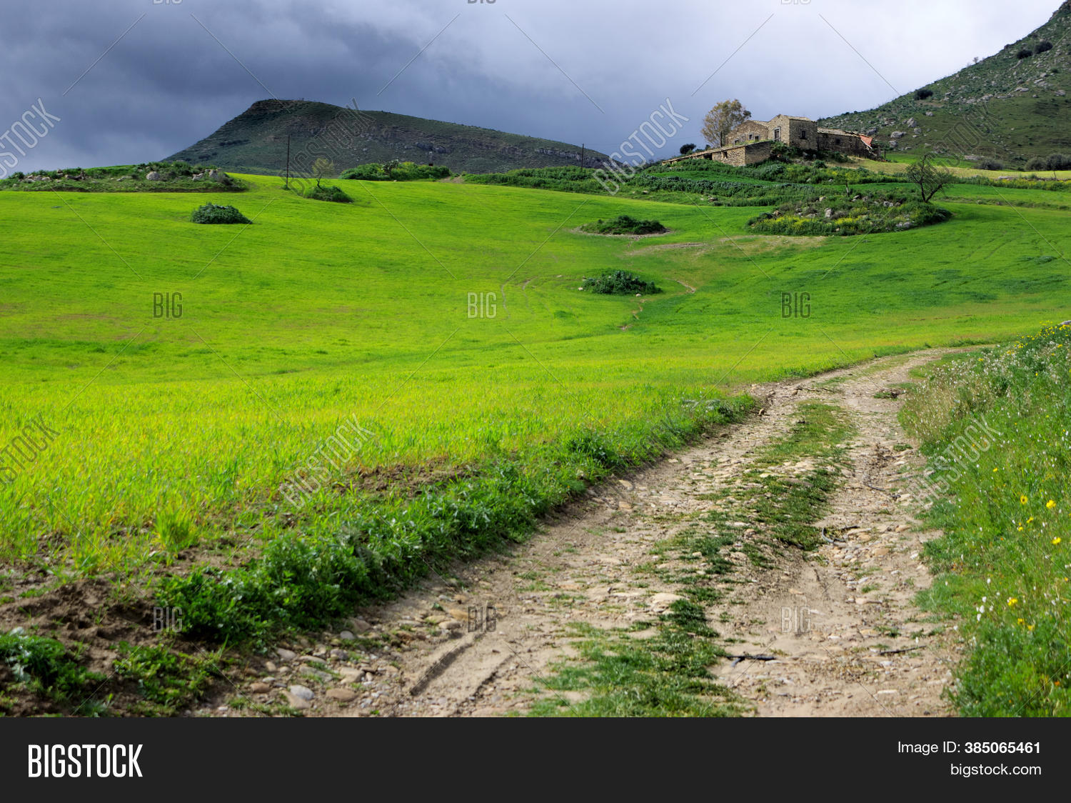 Rural Landscape Sicily Image & Photo (Free Trial) | Bigstock