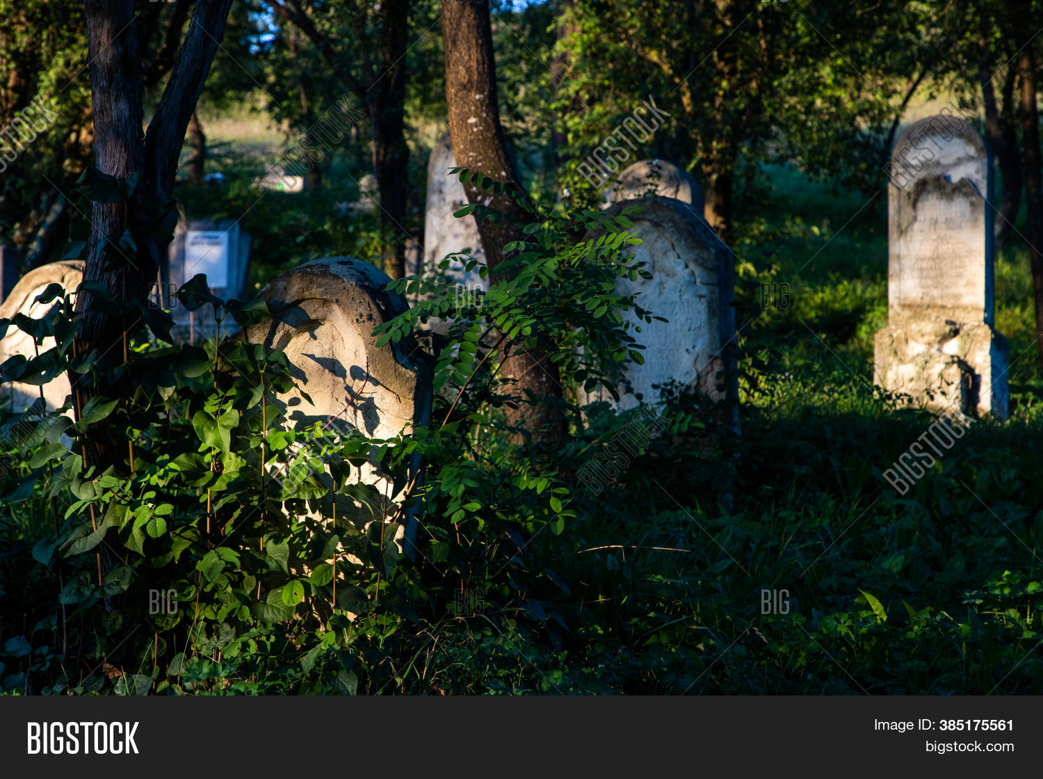 Old Shrines Cemetery Image & Photo (Free Trial) | Bigstock