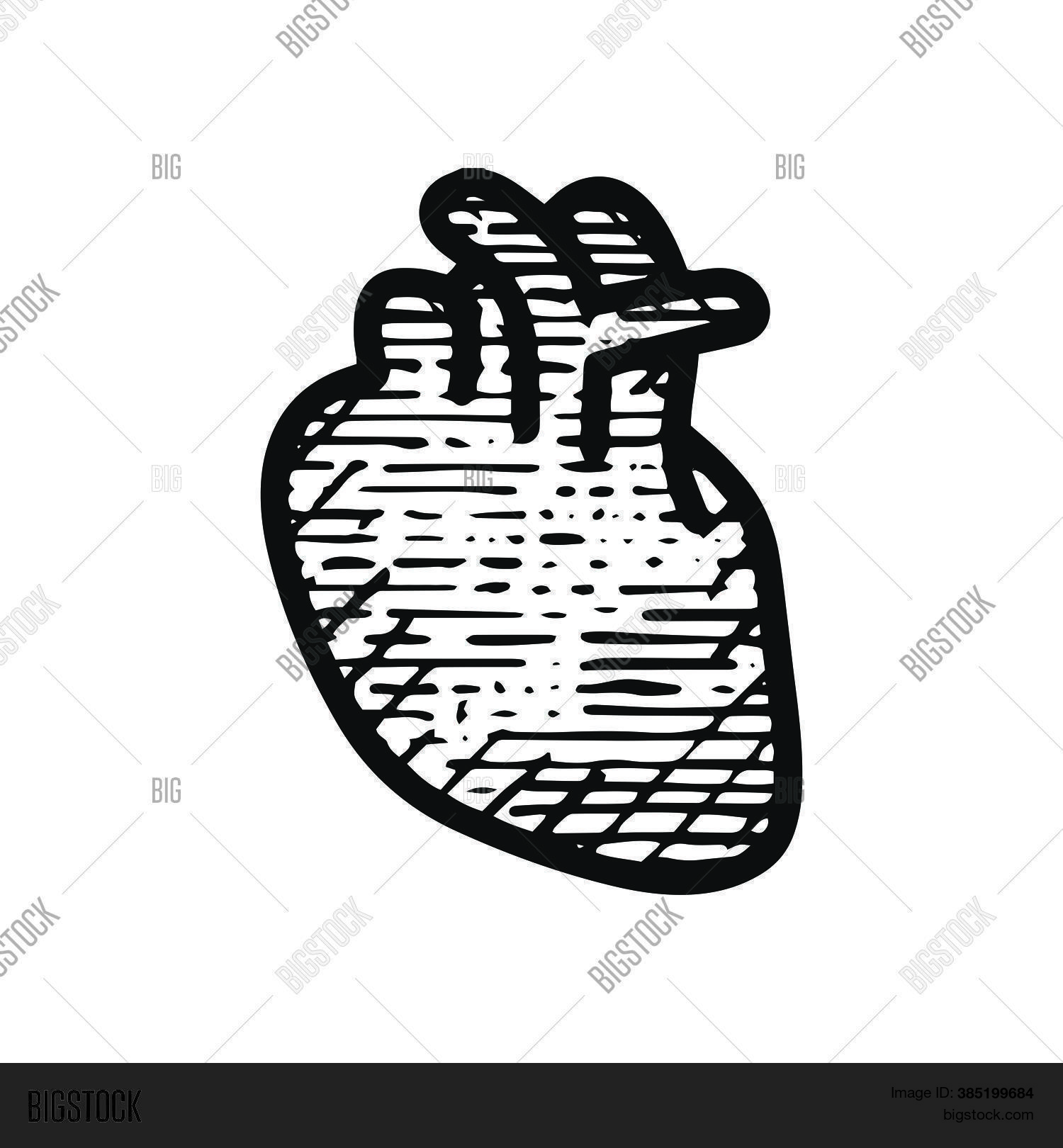 Hearth Icon Hand Vector & Photo (Free Trial) | Bigstock