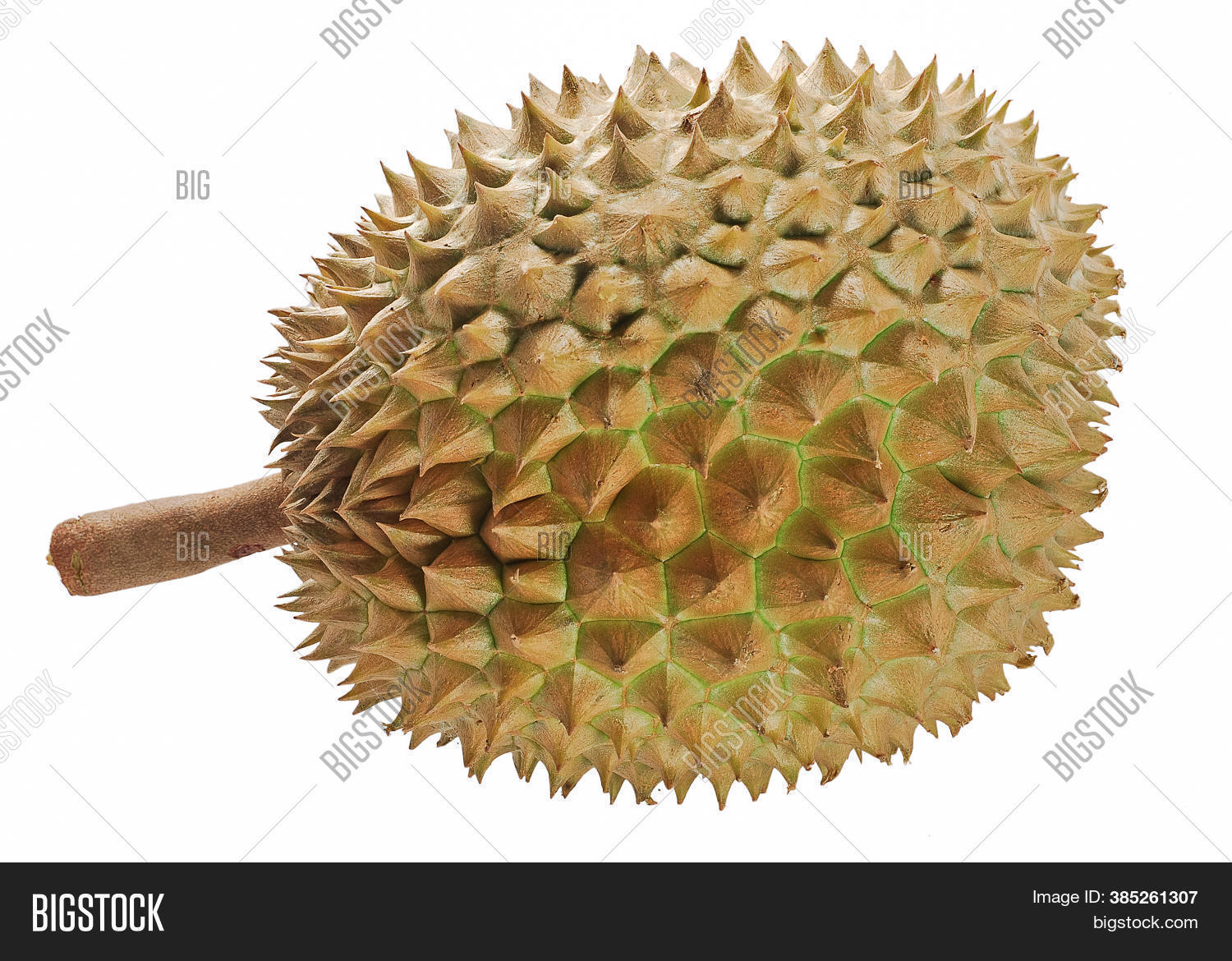 Single Durian Fruit Image & Photo (Free Trial) | Bigstock