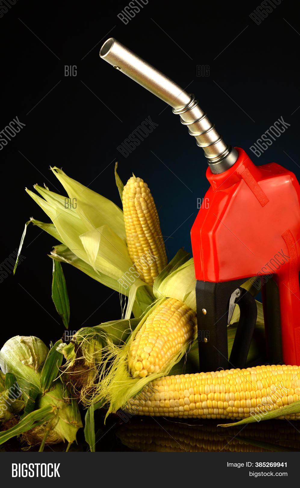 Corn Based Fuel Image & Photo (Free Trial) | Bigstock