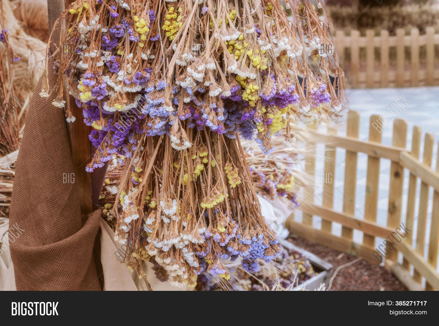 Dried Statice Flowers Image & Photo (Free Trial) | Bigstock