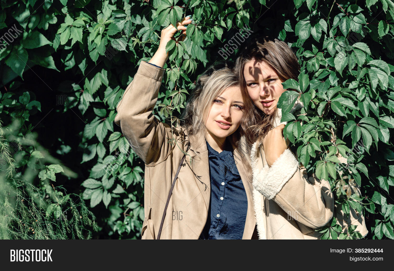 Two Friends Met Park Image & Photo (Free Trial) | Bigstock