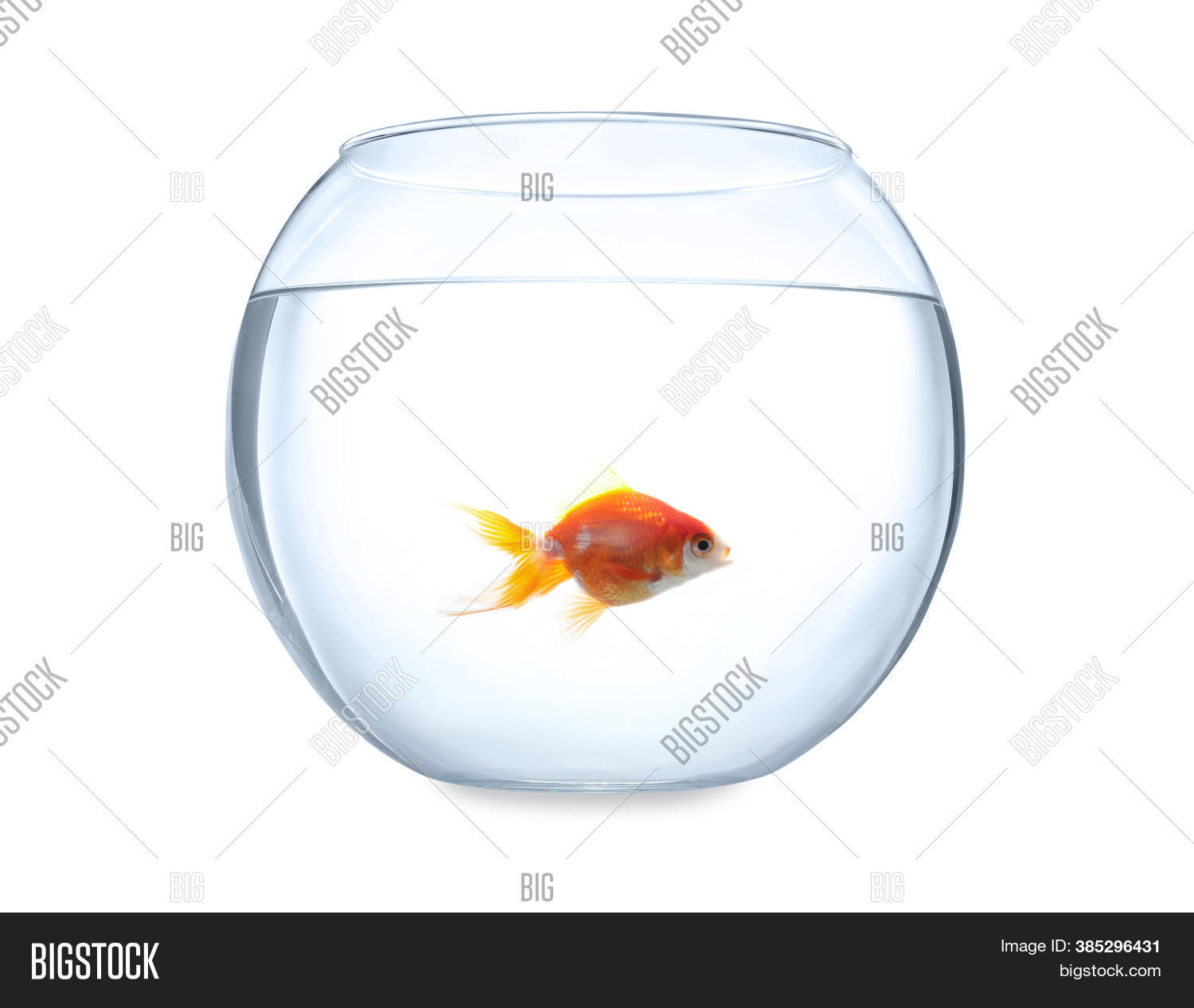 Beautiful Bright Small Image & Photo (Free Trial) | Bigstock