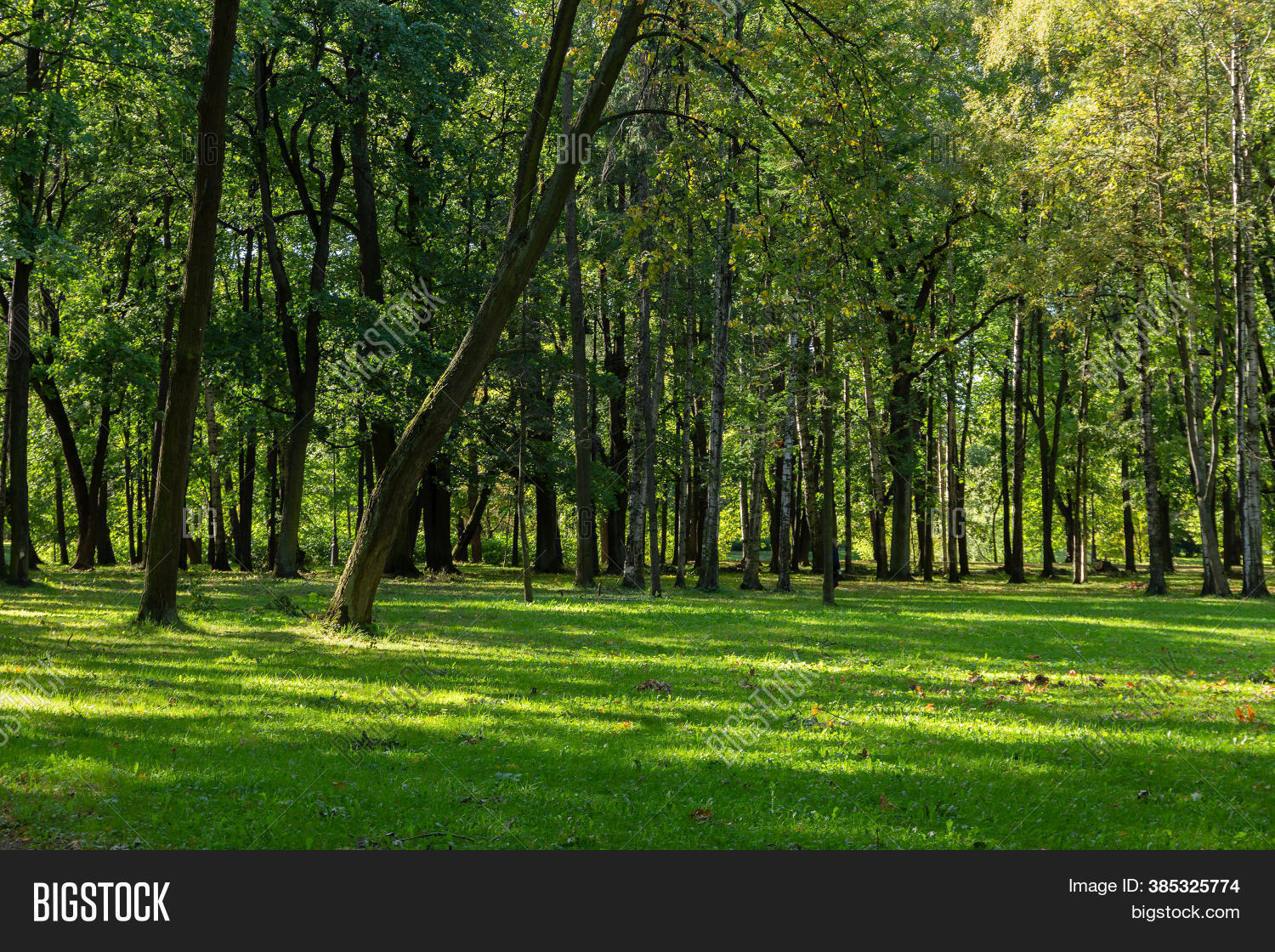 Empty City Green Park Image & Photo (Free Trial) | Bigstock