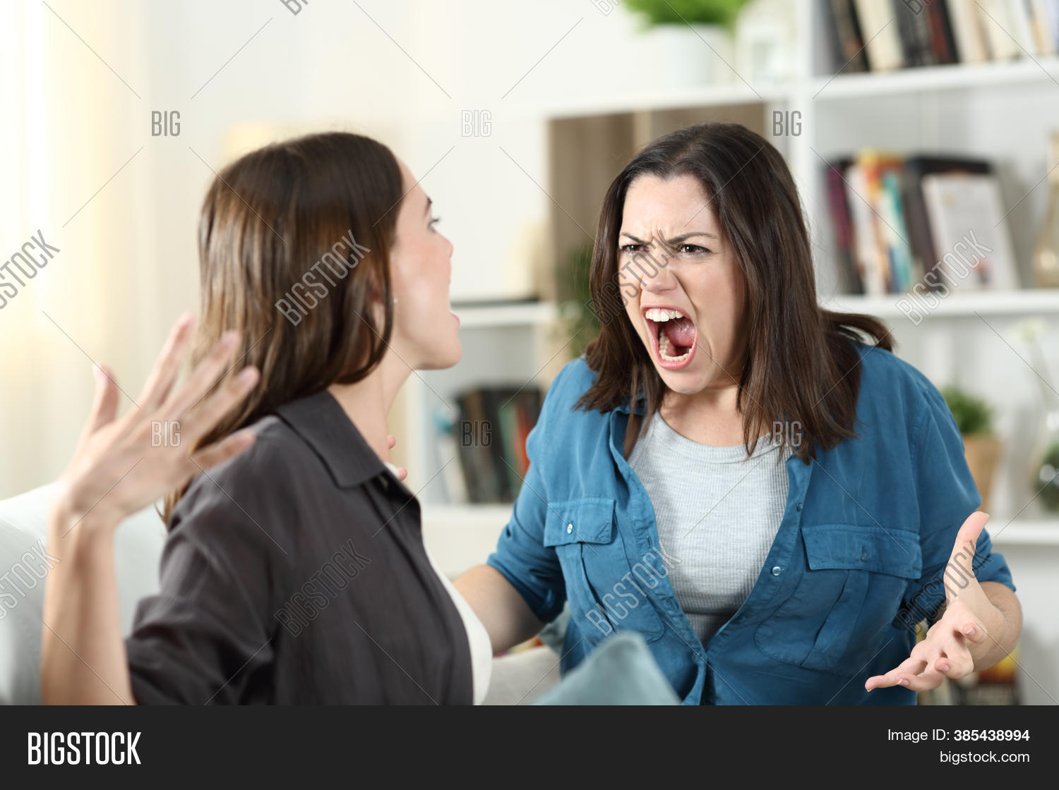 Two Roommates Arguing Image & Photo (Free Trial) | Bigstock