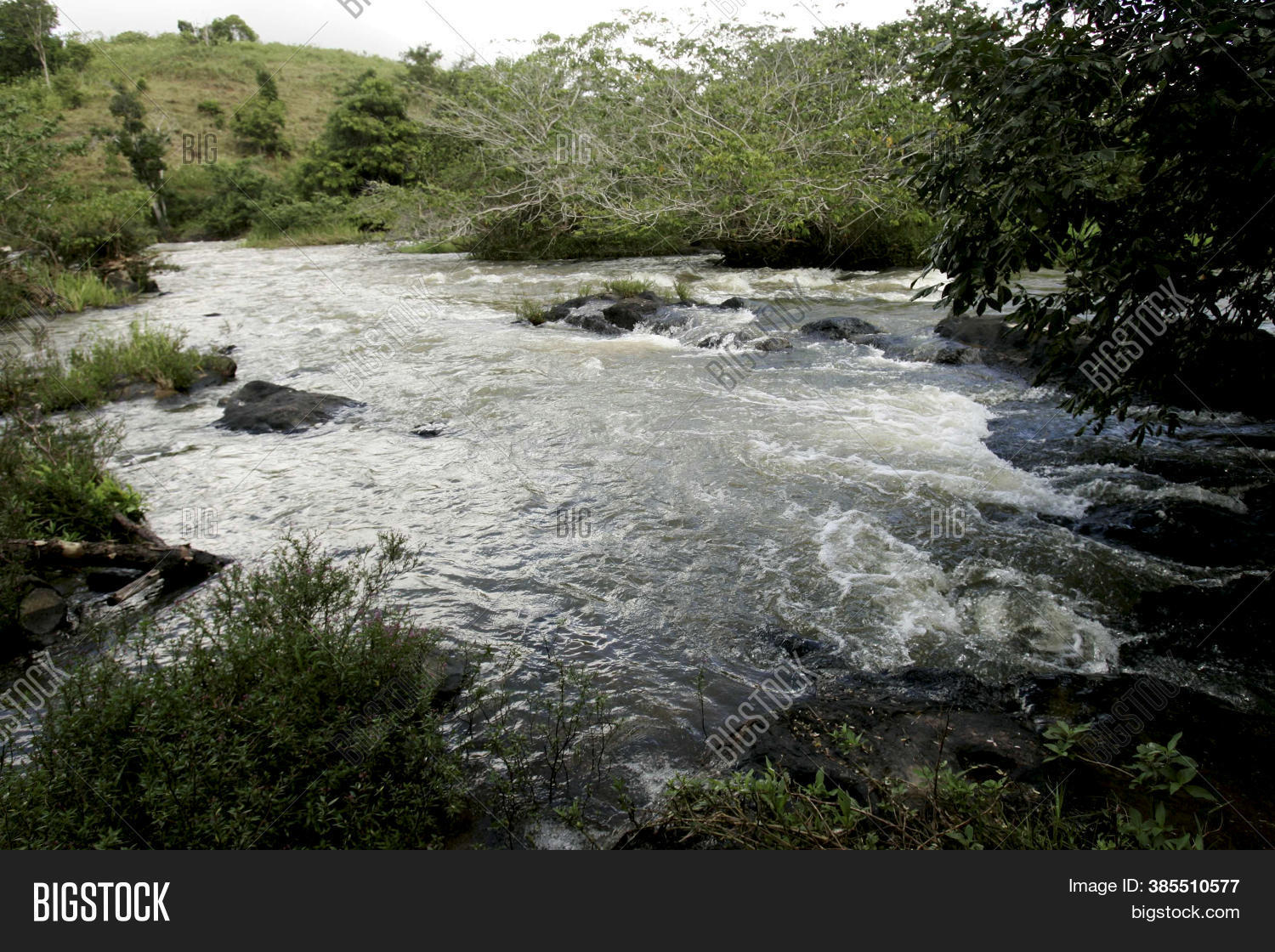 Eunapolis, Bahia / Image & Photo (Free Trial) | Bigstock