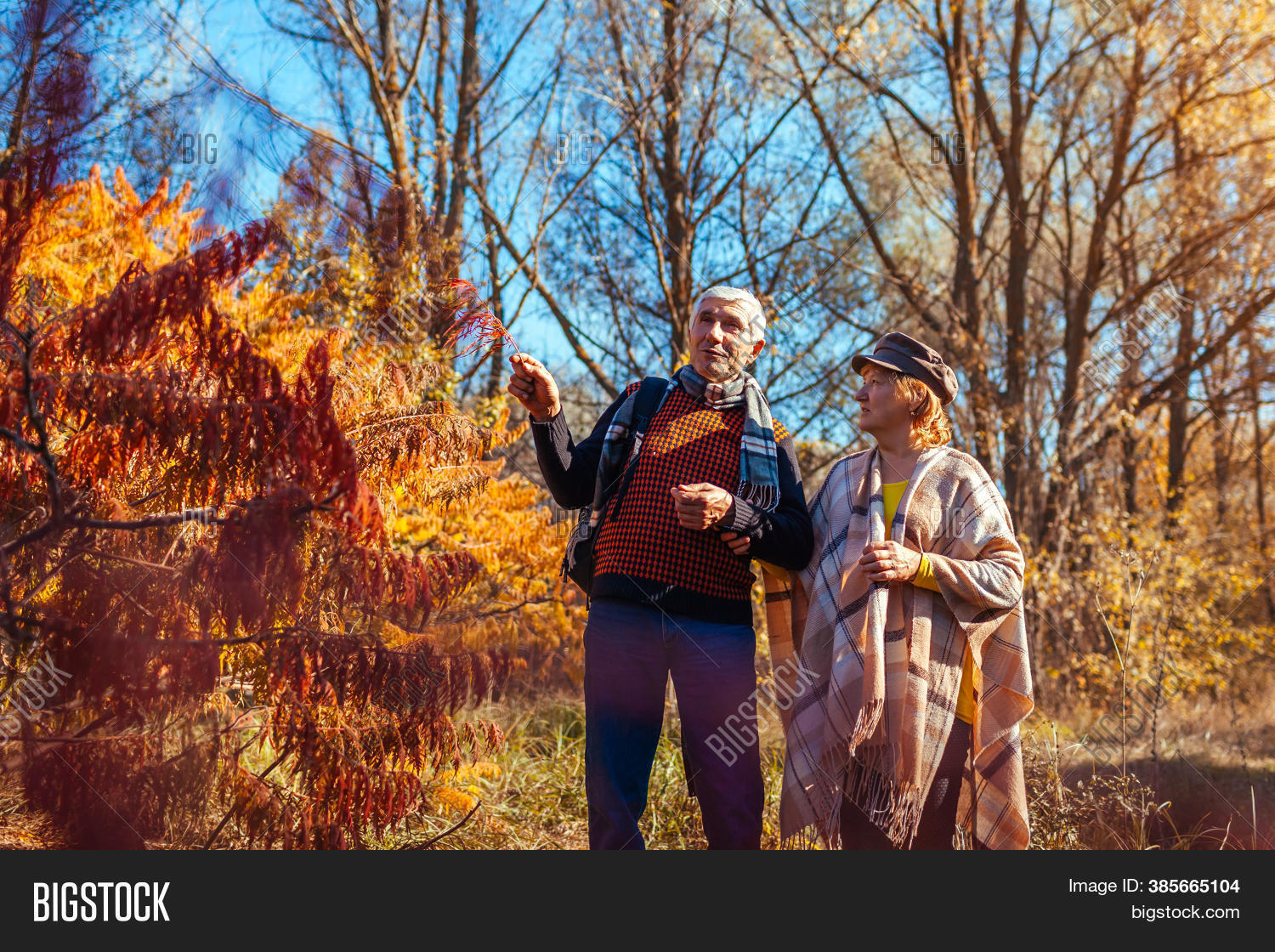 Fall Activities. Image & Photo (Free Trial) | Bigstock