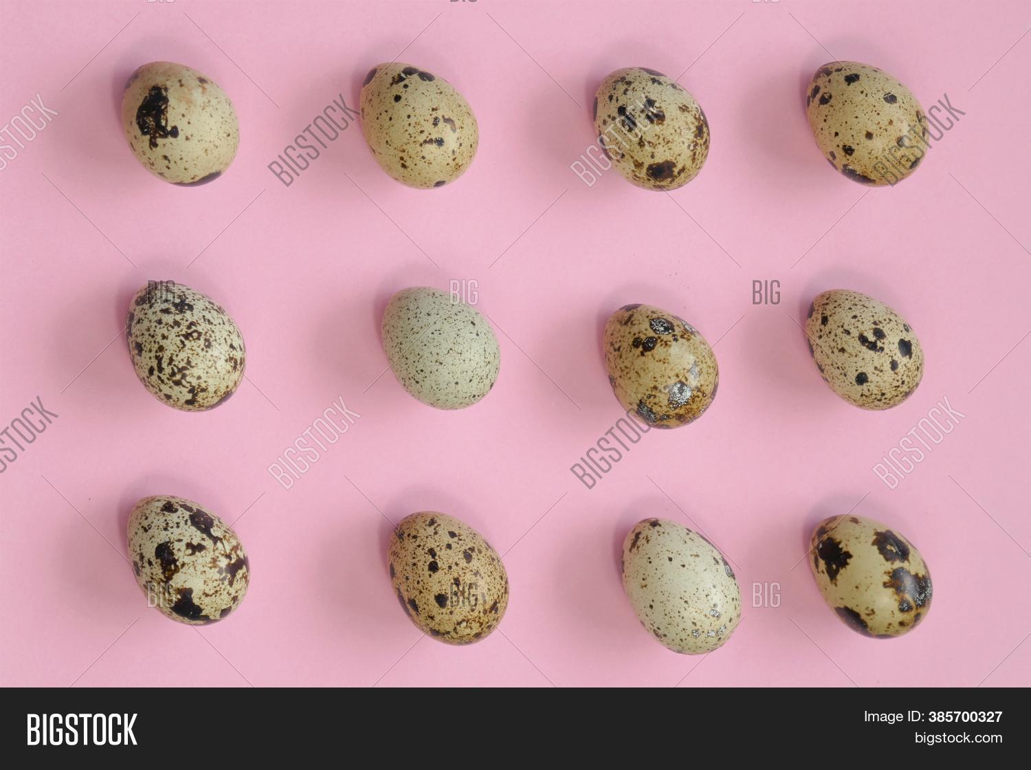 Quail Eggs. Egg Image & Photo (Free Trial) | Bigstock