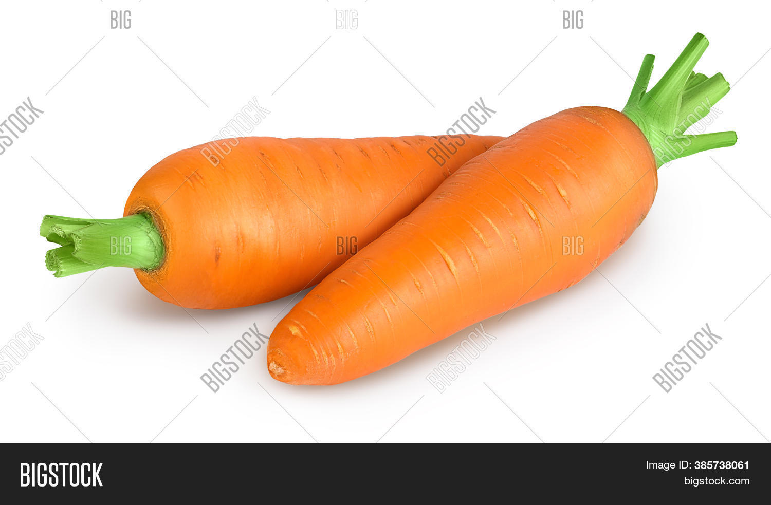 Carrot Isolated On Image & Photo (Free Trial) | Bigstock