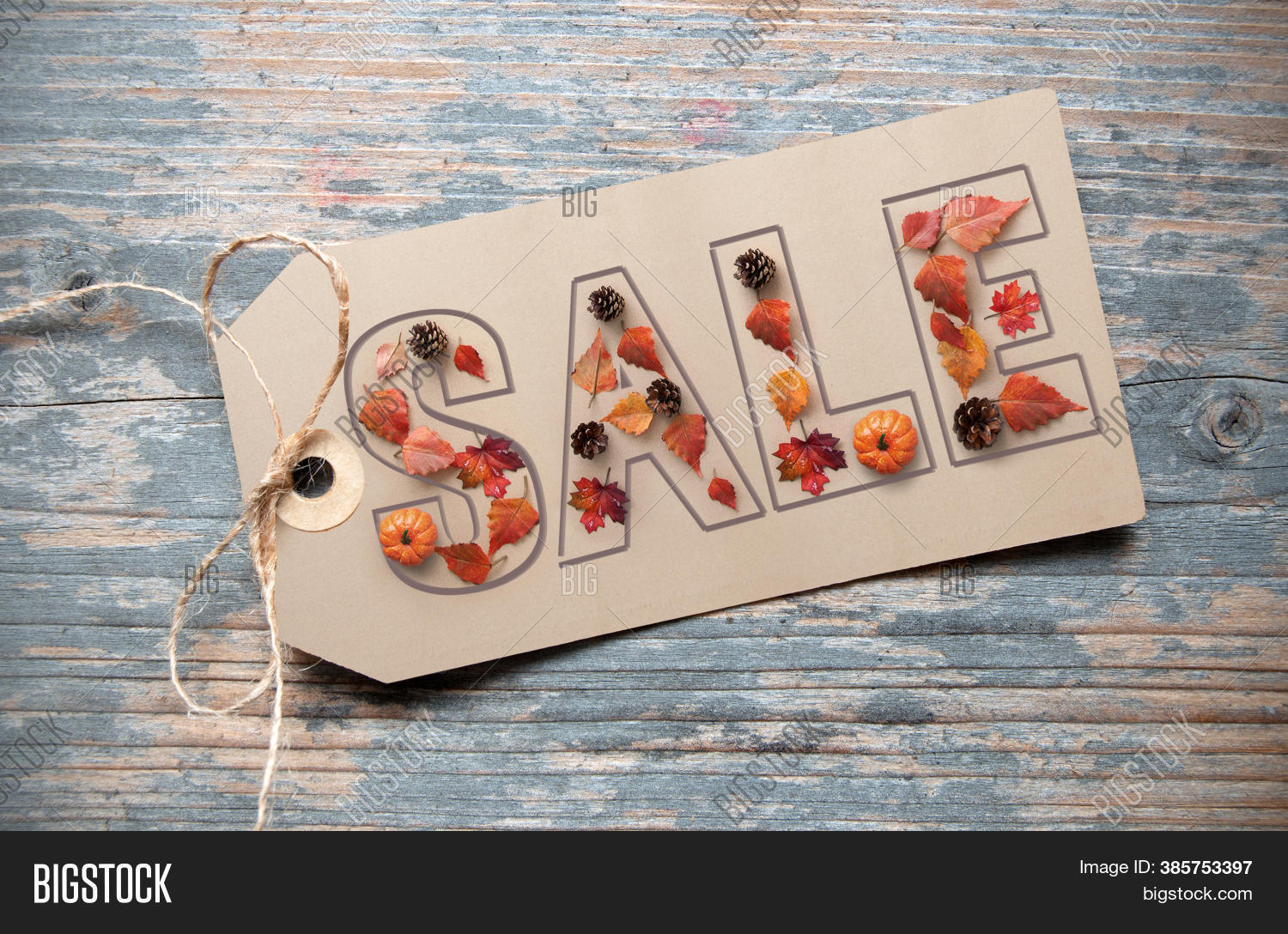 Autumn Sale Shopping Image & Photo (Free Trial) | Bigstock