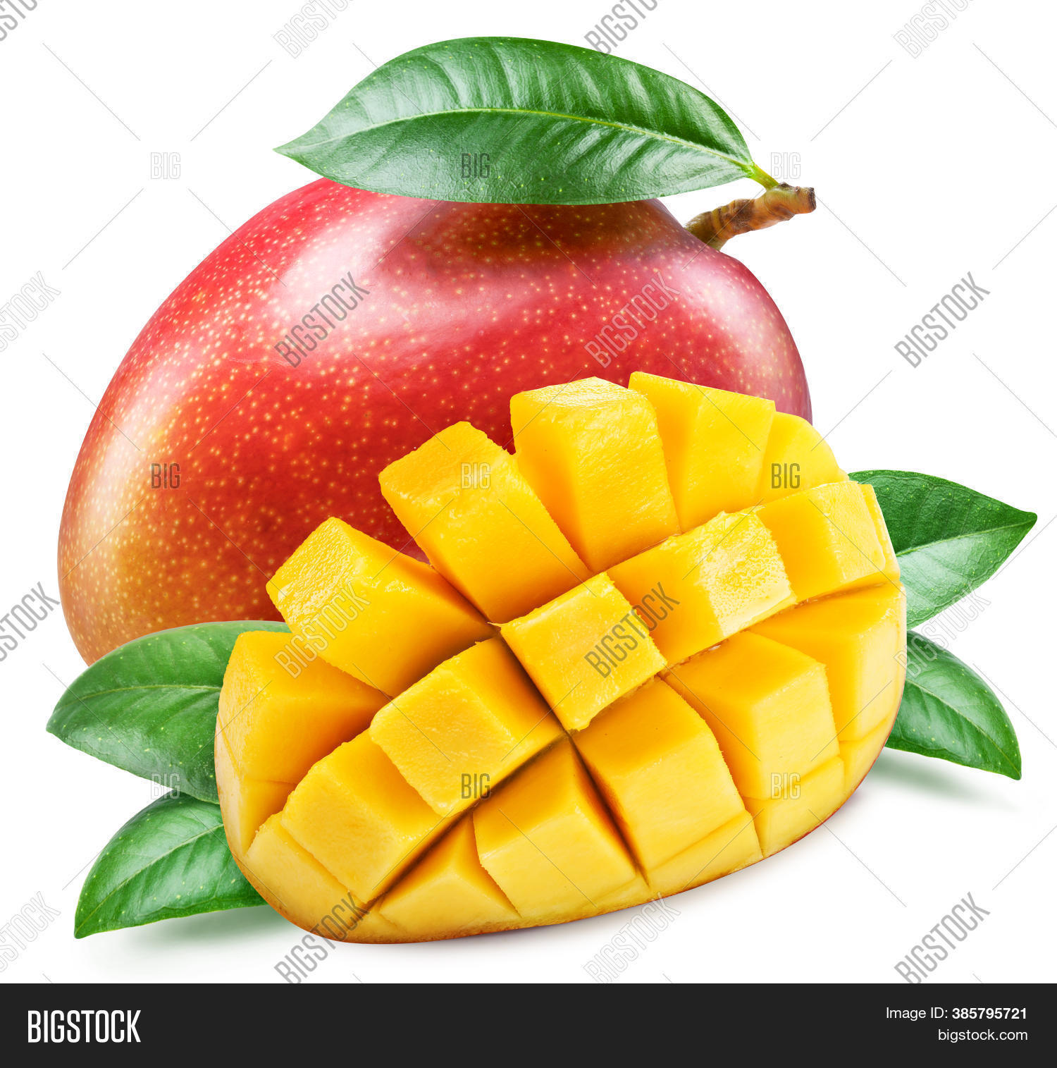 Mango Leaves Mango Image & Photo (Free Trial) | Bigstock