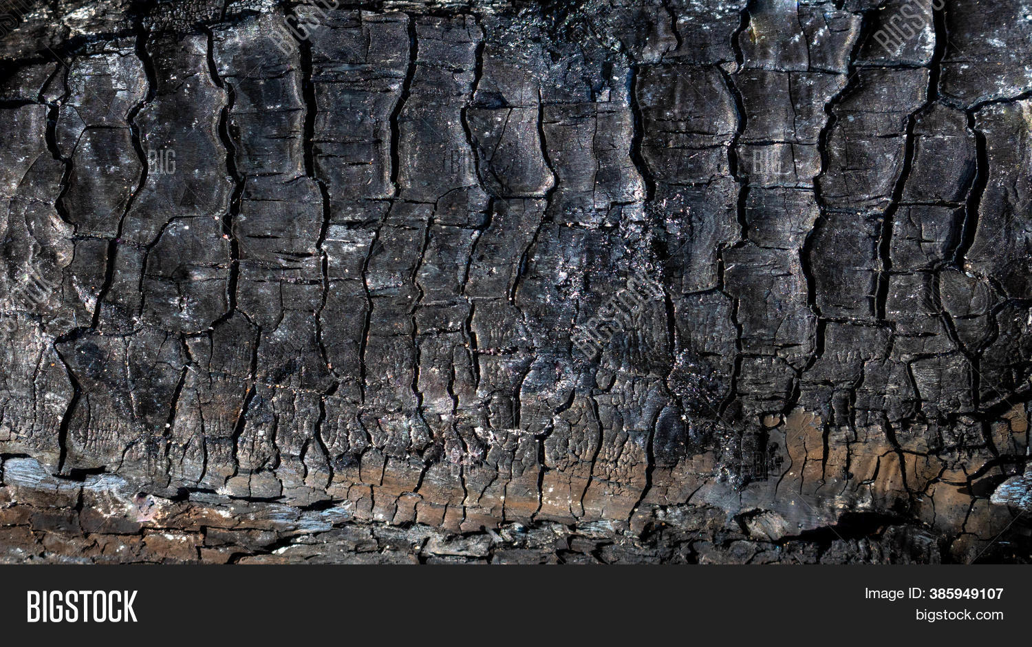 Texture Burnt Wood, Image & Photo (Free Trial) | Bigstock