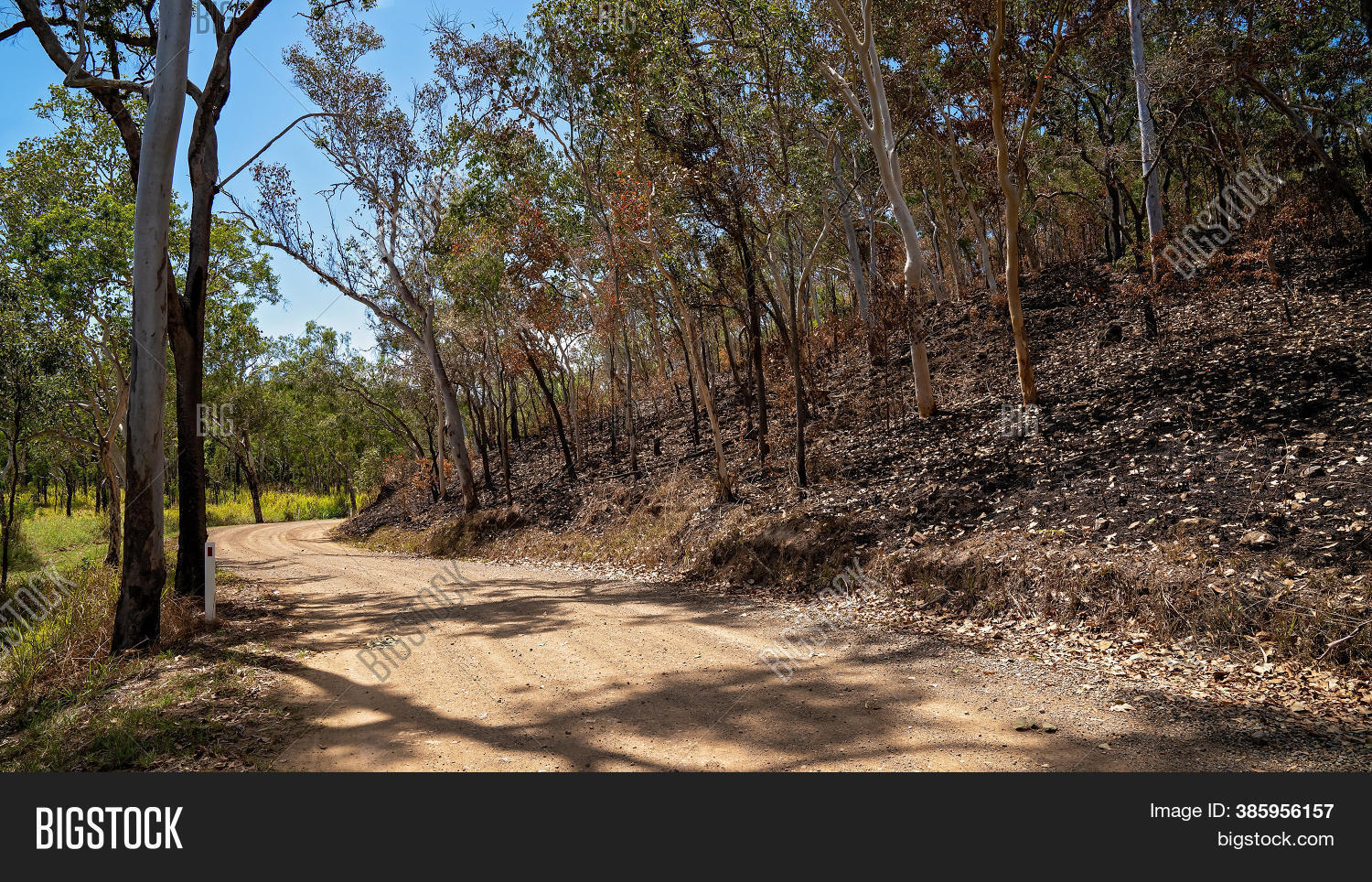 Controlled Burning Image & Photo (Free Trial) | Bigstock
