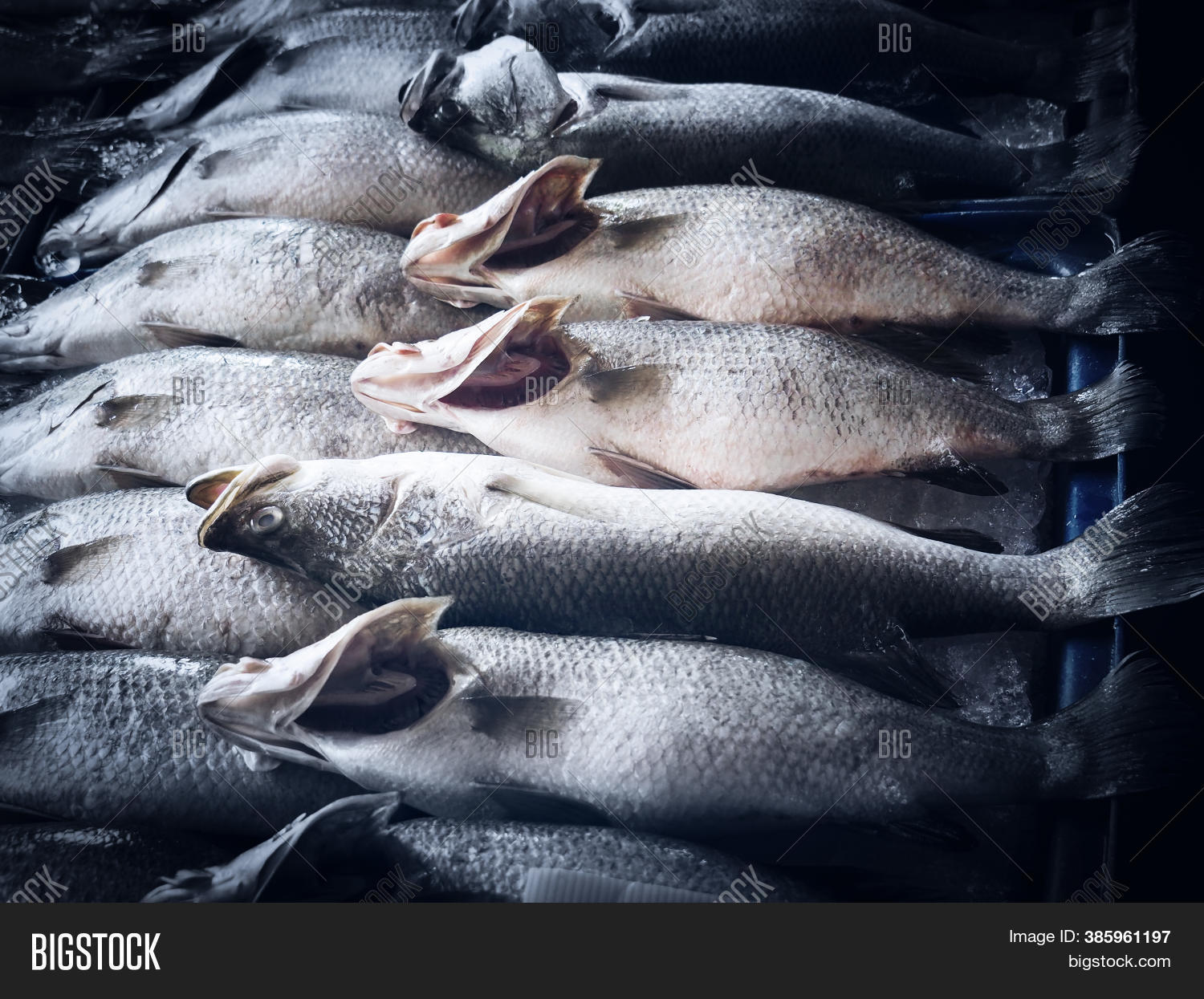 Top View Fresh Sea Image & Photo (Free Trial) | Bigstock