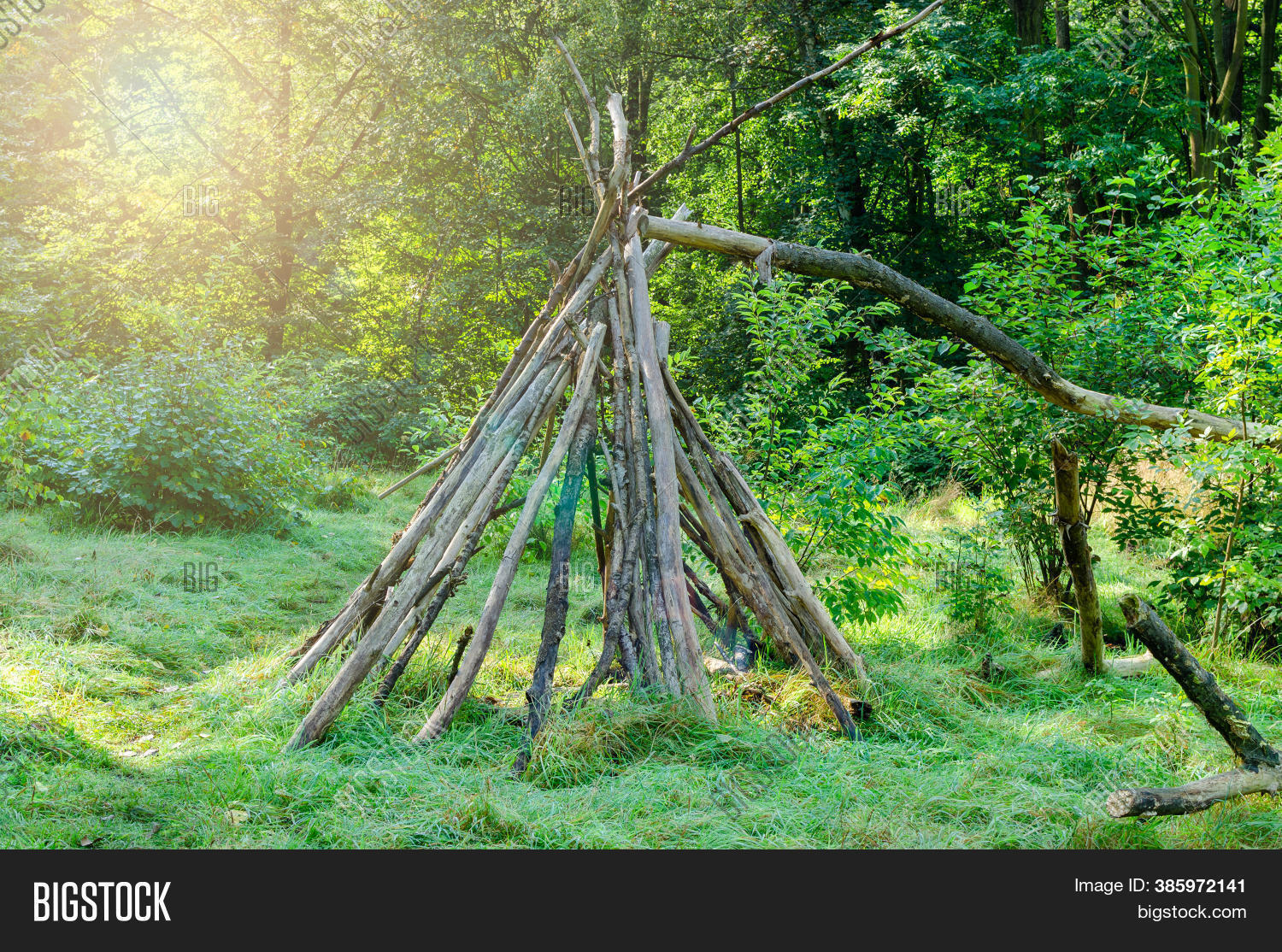 Hut Wooden Logs Forest Image & Photo (Free Trial) | Bigstock