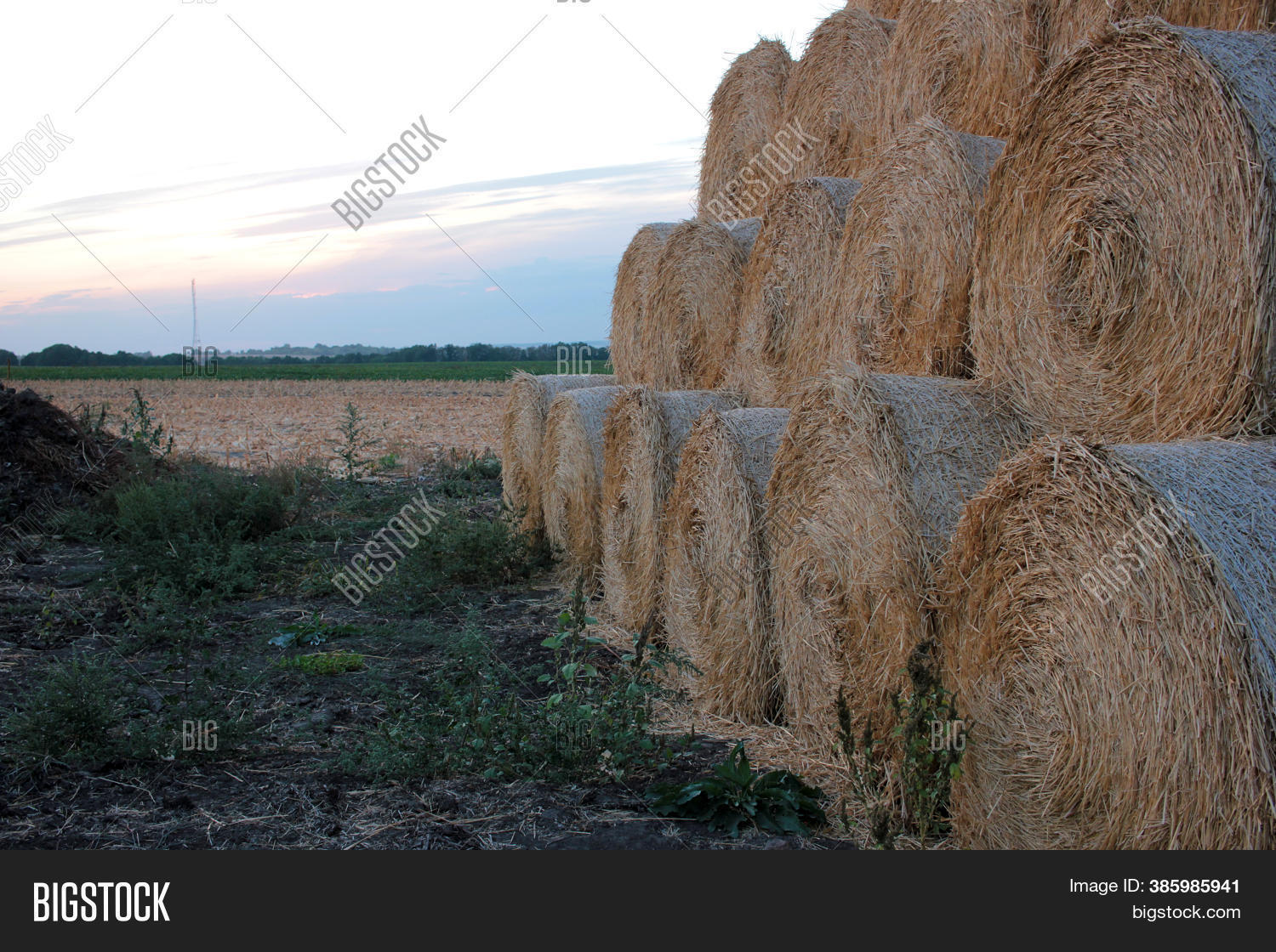 Stack Hay Bales Field Image & Photo (Free Trial) | Bigstock