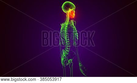 3d Render Human Body Image & Photo (Free Trial) | Bigstock