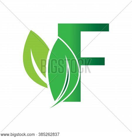 Initial Letter F Leaf Vector & Photo (Free Trial) | Bigstock
