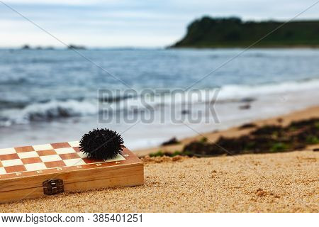 Playing Chess On Board Image & Photo (Free Trial) | Bigstock