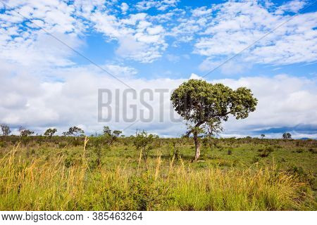 African Savannah - Image & Photo (Free Trial) | Bigstock