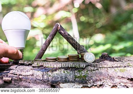 Coins Stacked On Bark Image & Photo (Free Trial) | Bigstock