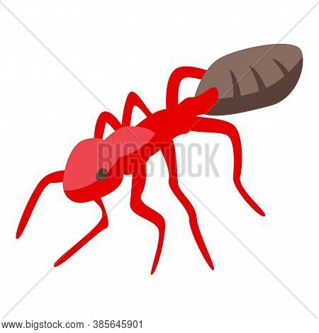 Red Ant Icon. Vector & Photo (Free Trial) | Bigstock