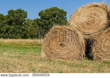 Haystacks Stacked One Image & Photo (Free Trial) | Bigstock