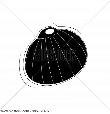 Black Sea Shell Icon Vector & Photo (Free Trial) | Bigstock