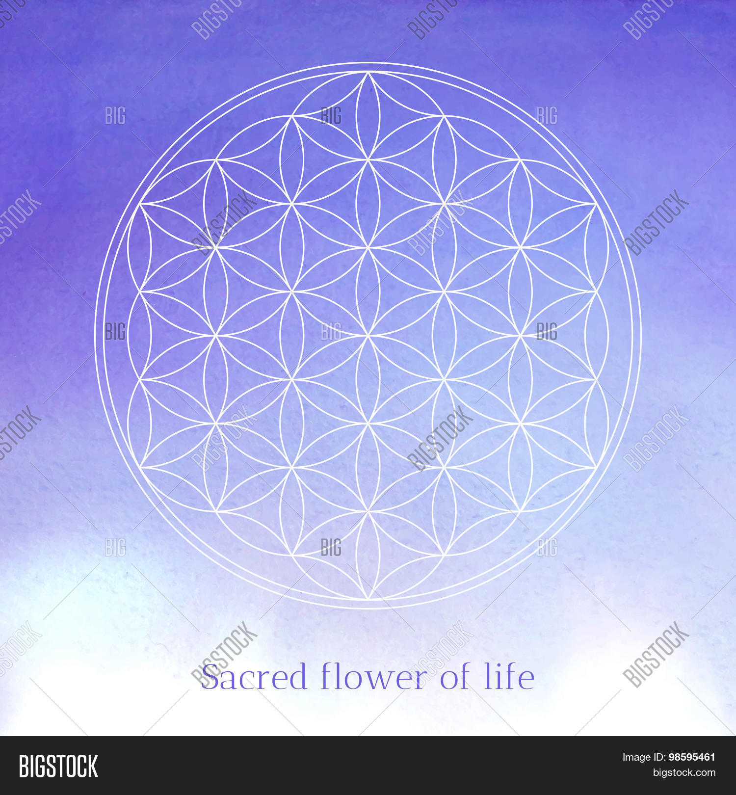 Flower Life Vector Vector & Photo (Free Trial) | Bigstock