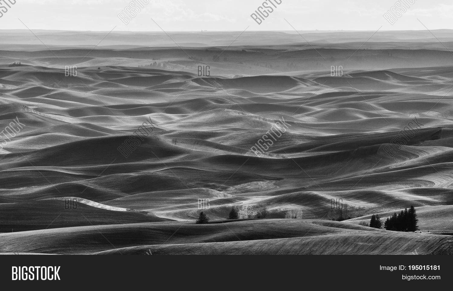 Black White Palouse Image & Photo (Free Trial) | Bigstock