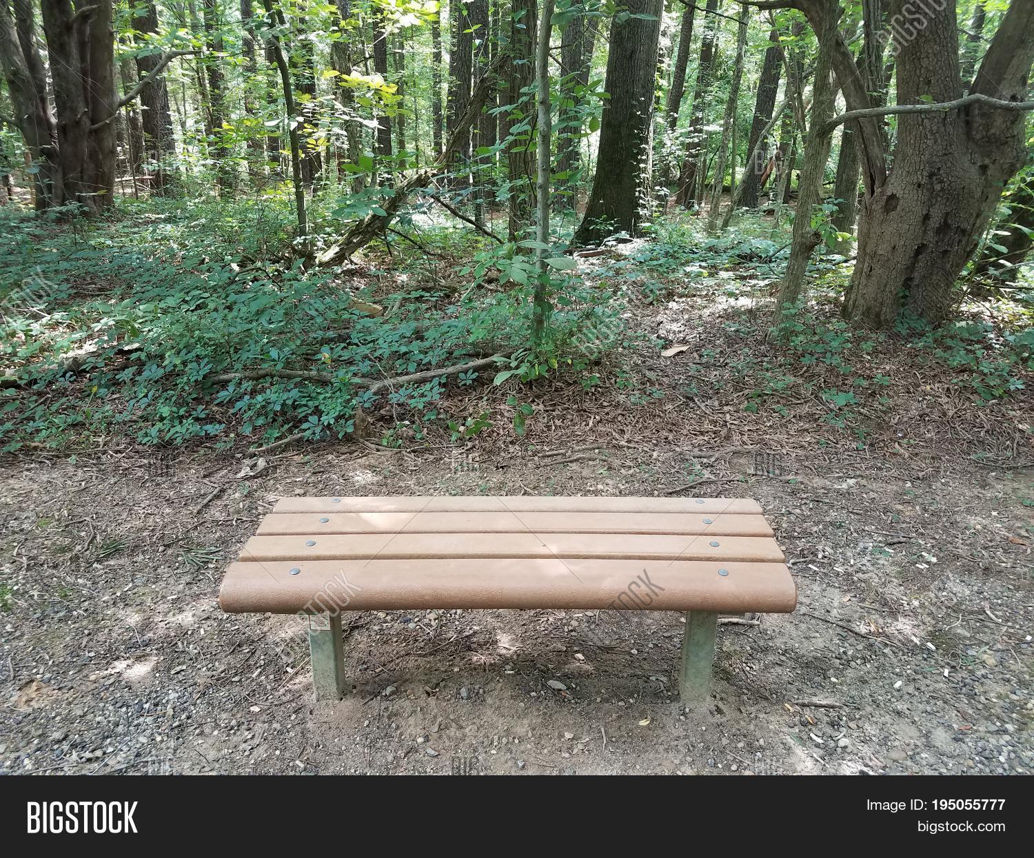 Samll Bench Seat Woods Image & Photo (Free Trial) | Bigstock