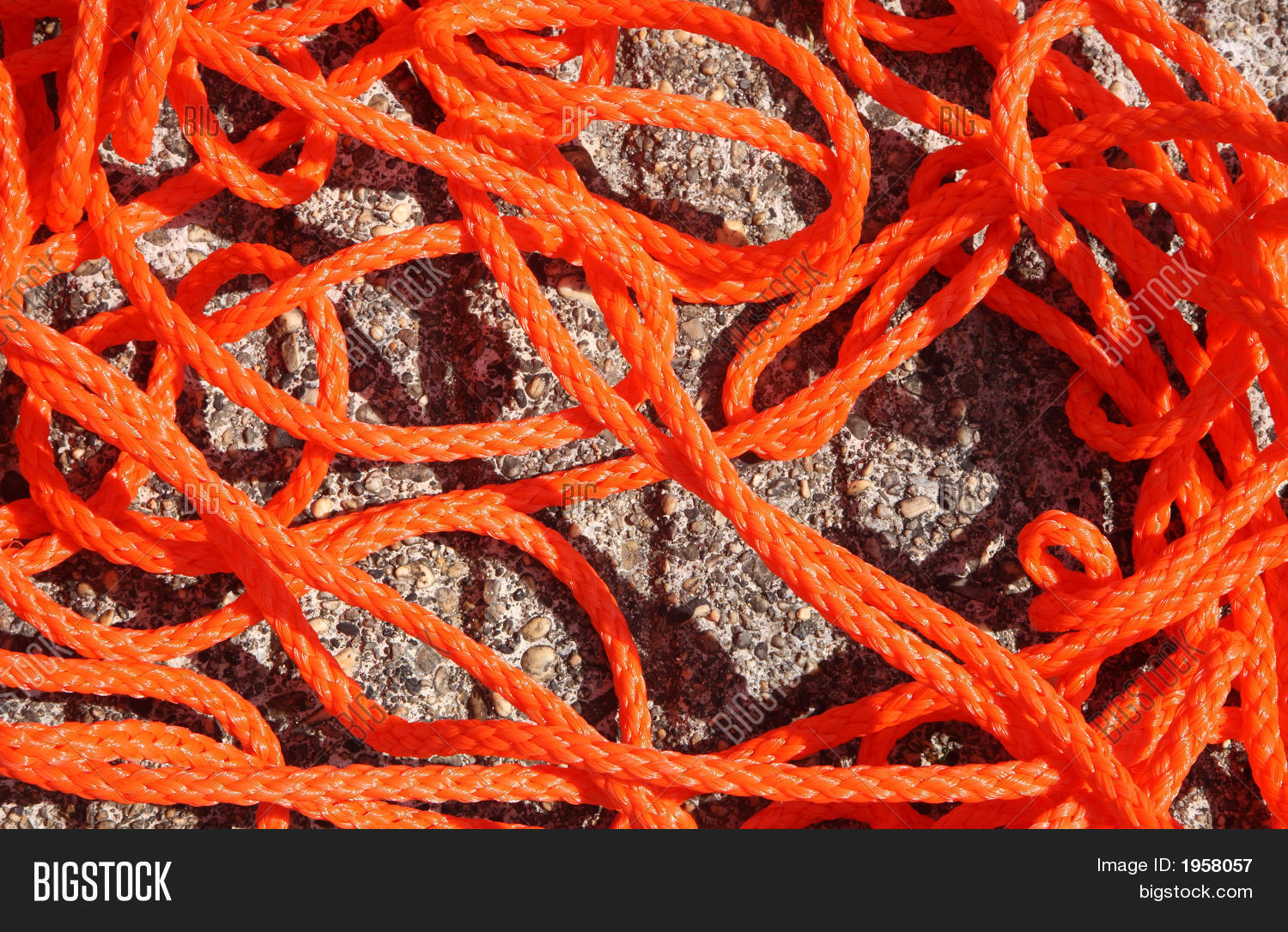 Orange Nylon Fishing Image & Photo (Free Trial) | Bigstock