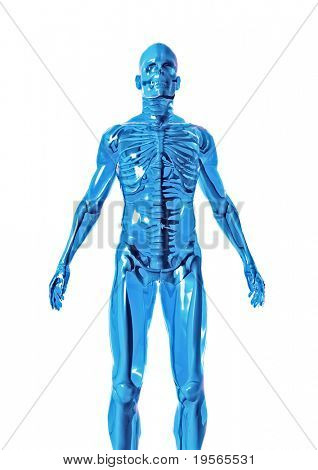 Anatomically Correct Image & Photo (Free Trial) | Bigstock
