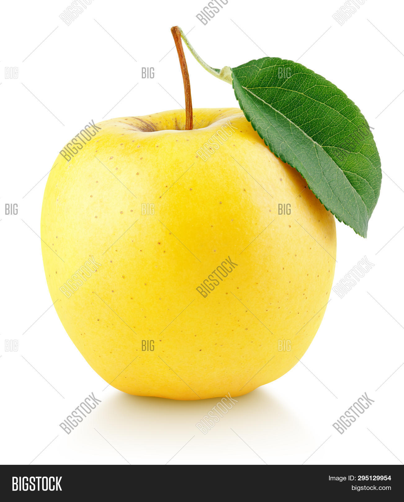 One Ripe Yellow Apple Image & Photo (Free Trial) | Bigstock