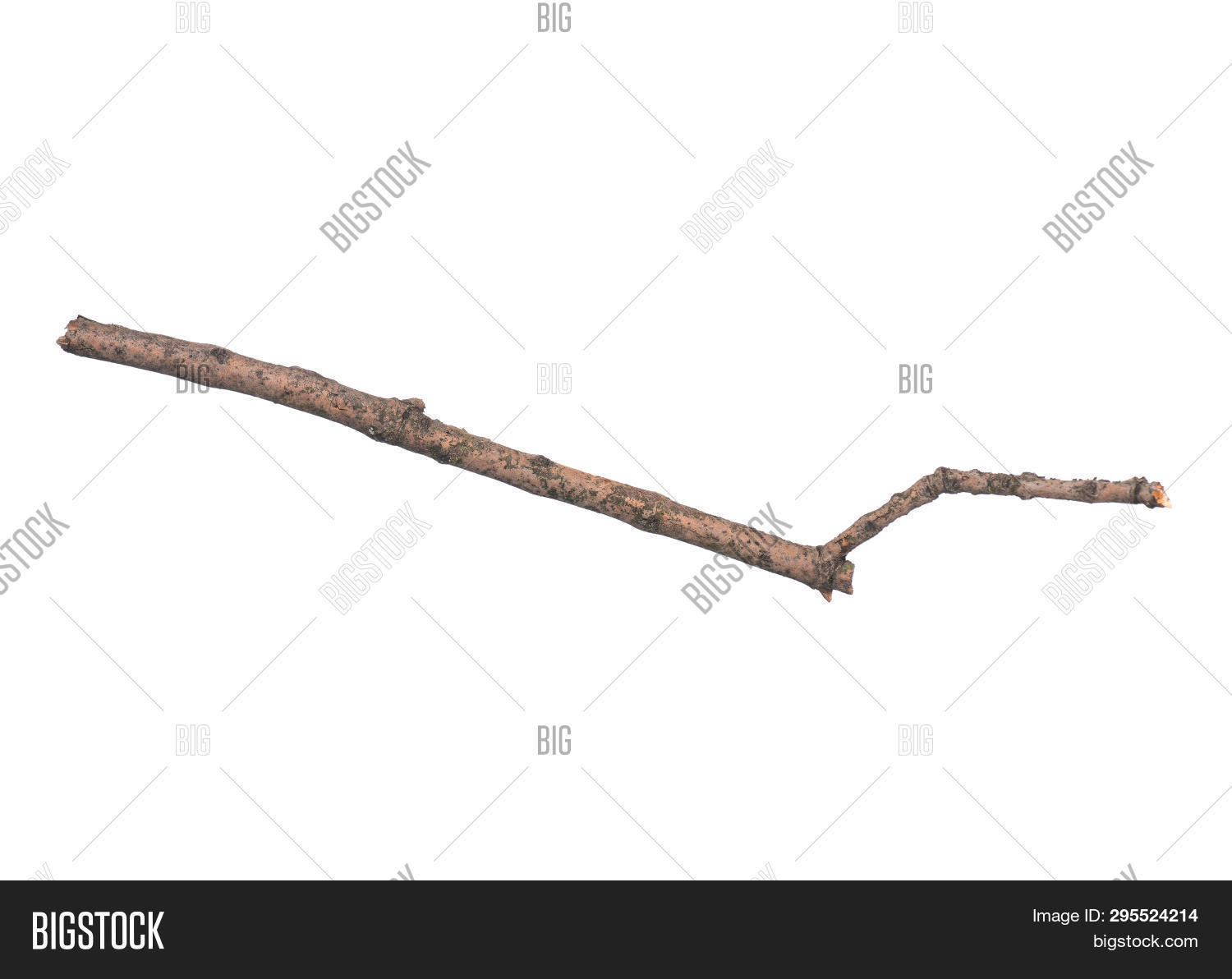 Single Dry Tree Branch Image & Photo (Free Trial) | Bigstock