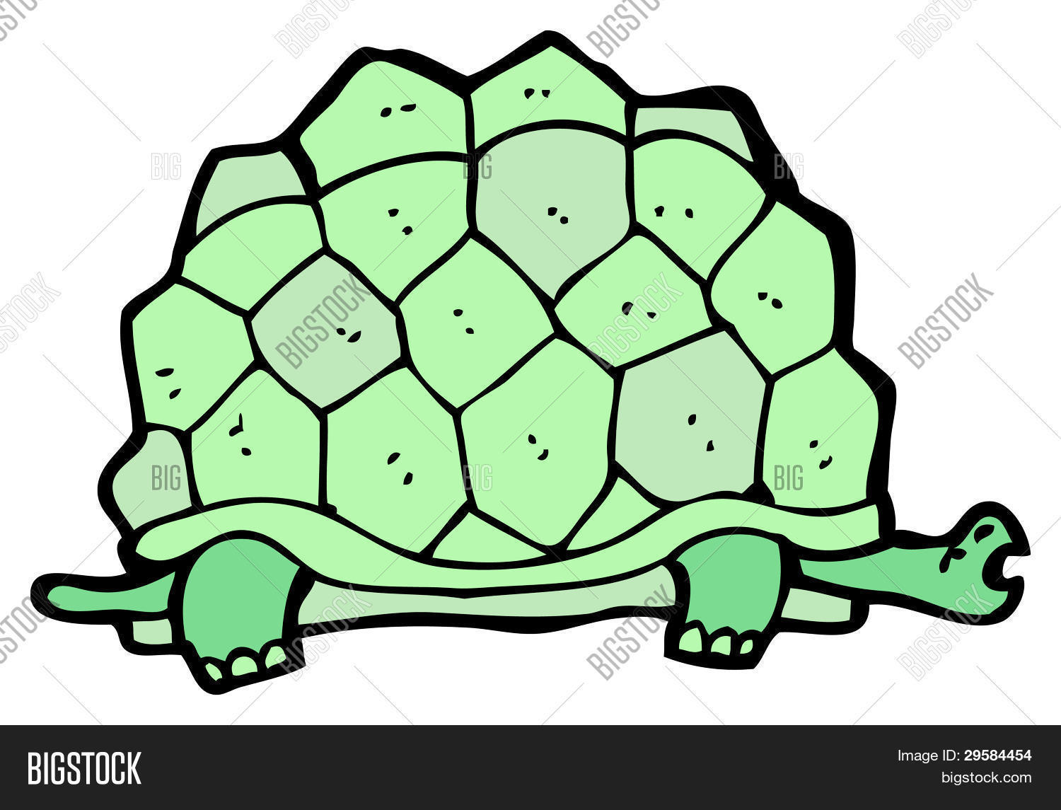 Giant Tortoise Cartoon Image & Photo (Free Trial) | Bigstock