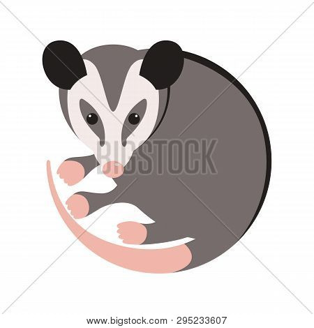 Imágenes Ilustraciones Y Vectores De Tlacuache Gratis Bigstock