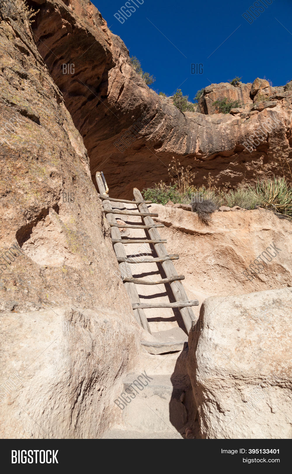 Wooden Ladder Leads Image & Photo (Free Trial) | Bigstock