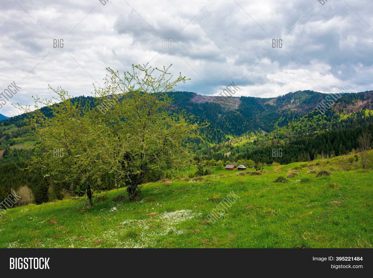 Mountain Rural Image & Photo (Free Trial) | Bigstock