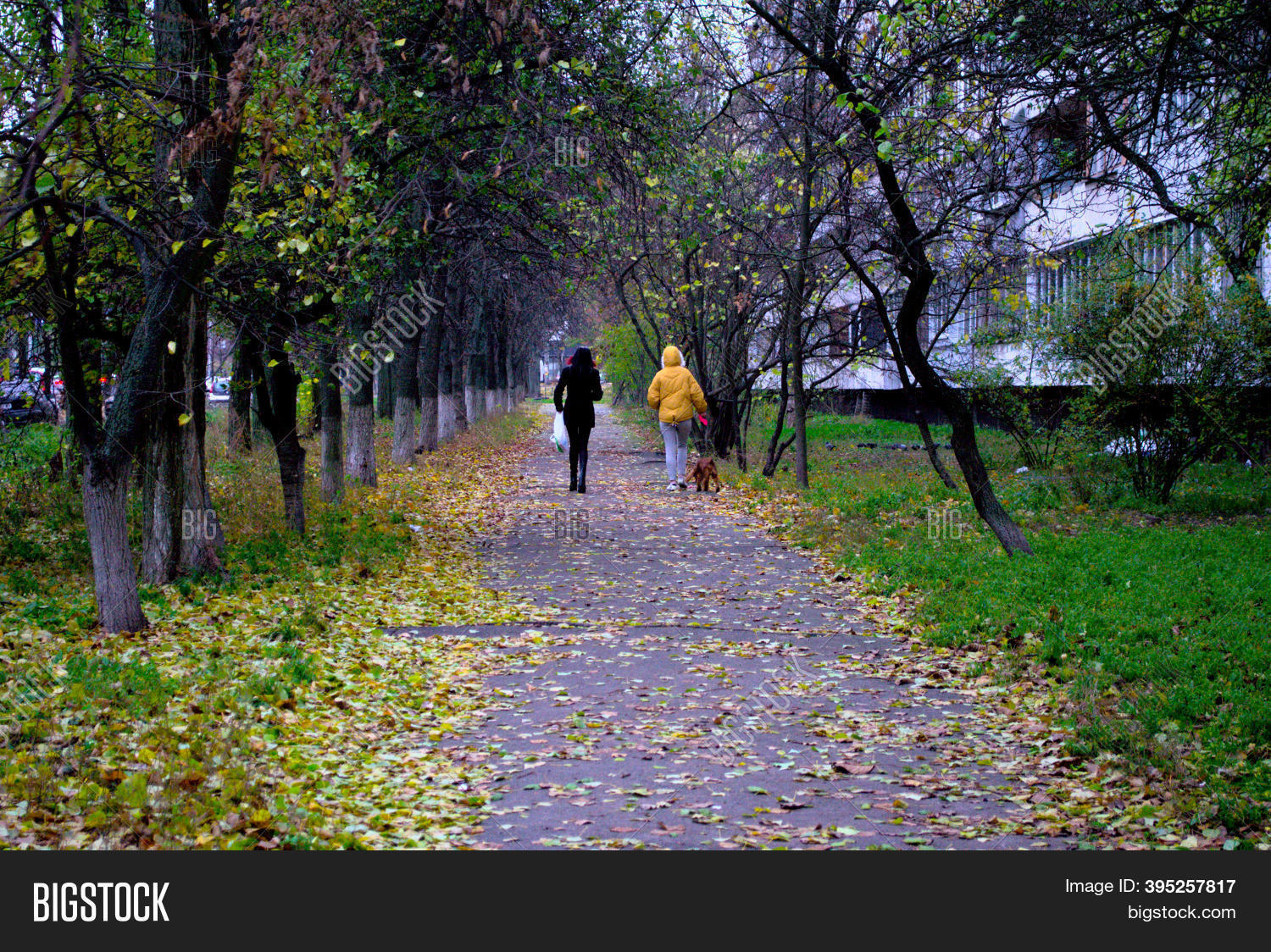 City Autumn Street Image & Photo (Free Trial) | Bigstock