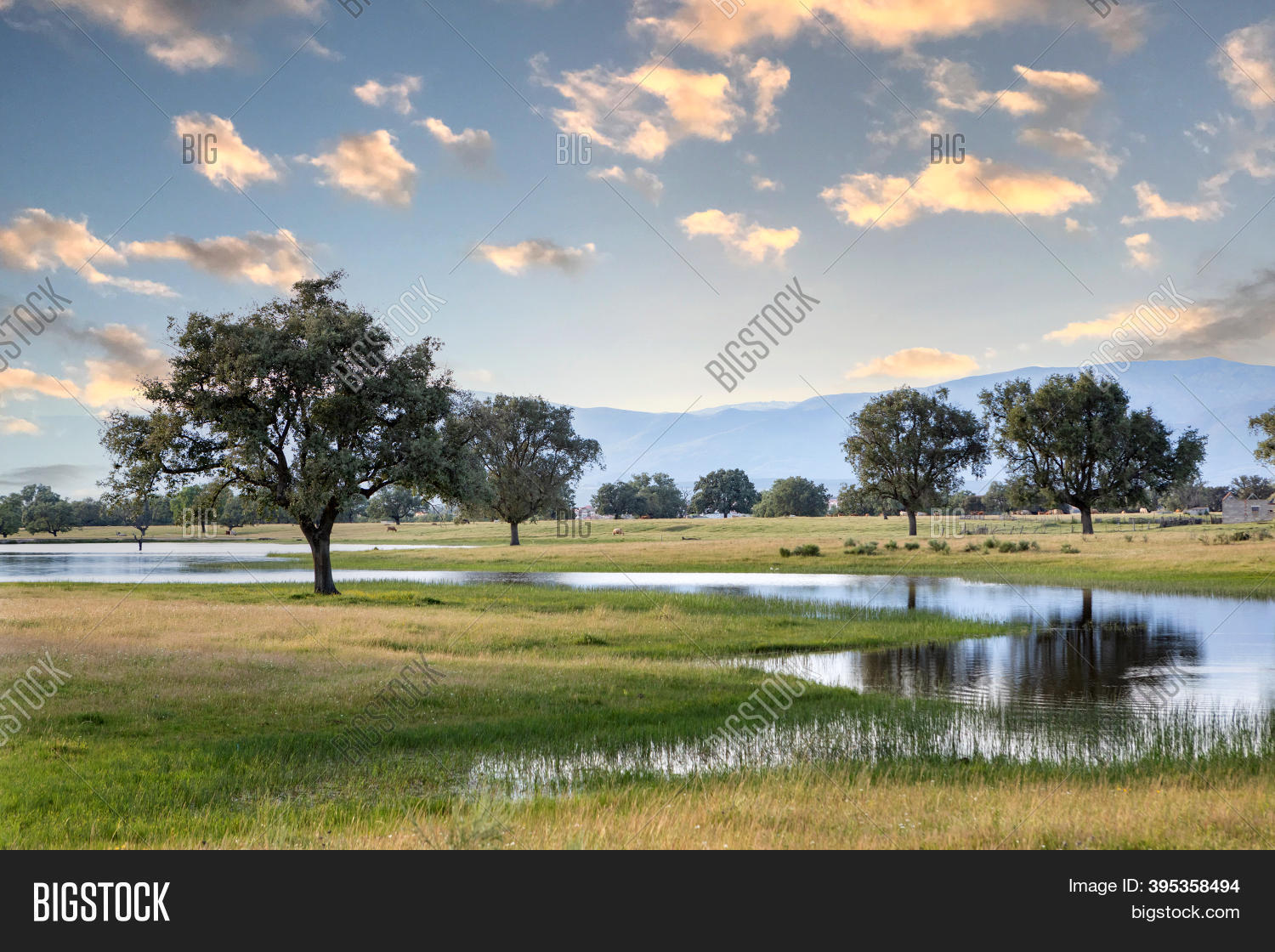 Beautiful Spanish Image & Photo (Free Trial) | Bigstock