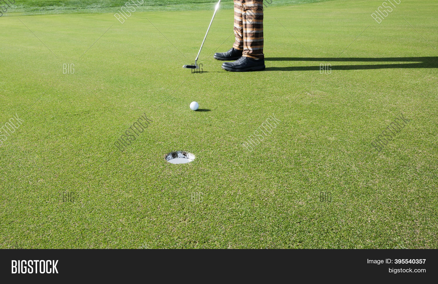 Cropped View Golfer Image & Photo (Free Trial) | Bigstock