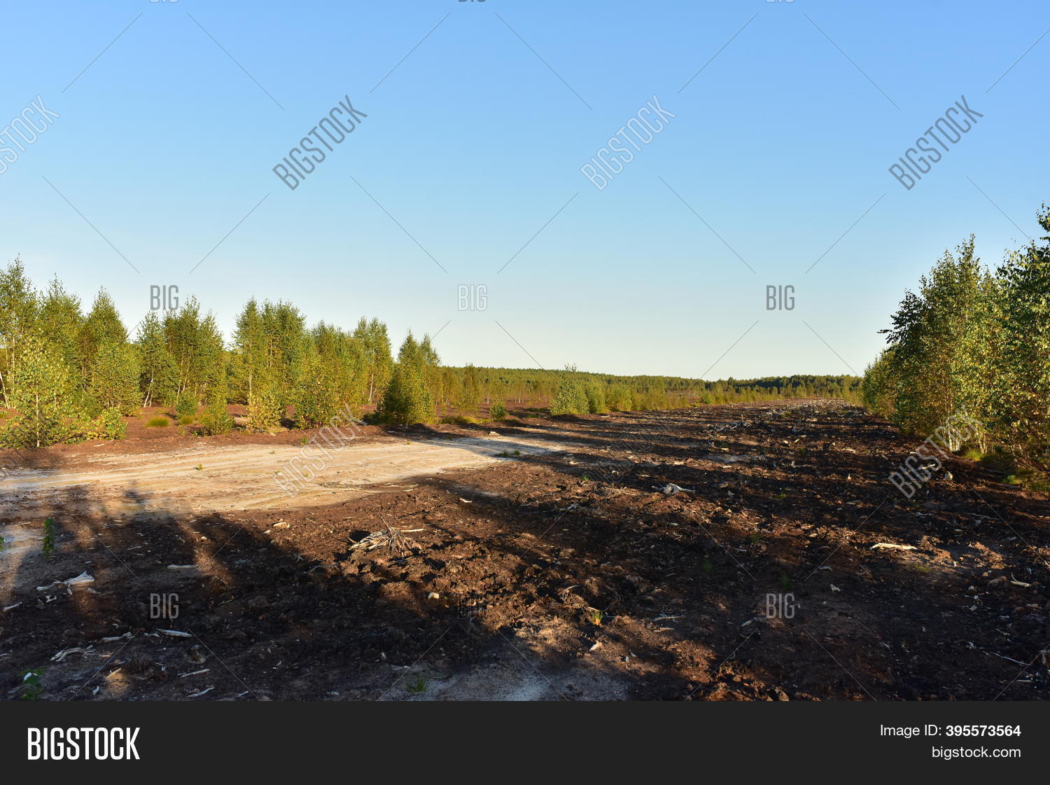 Landscape On Peatlands Image & Photo (Free Trial) | Bigstock