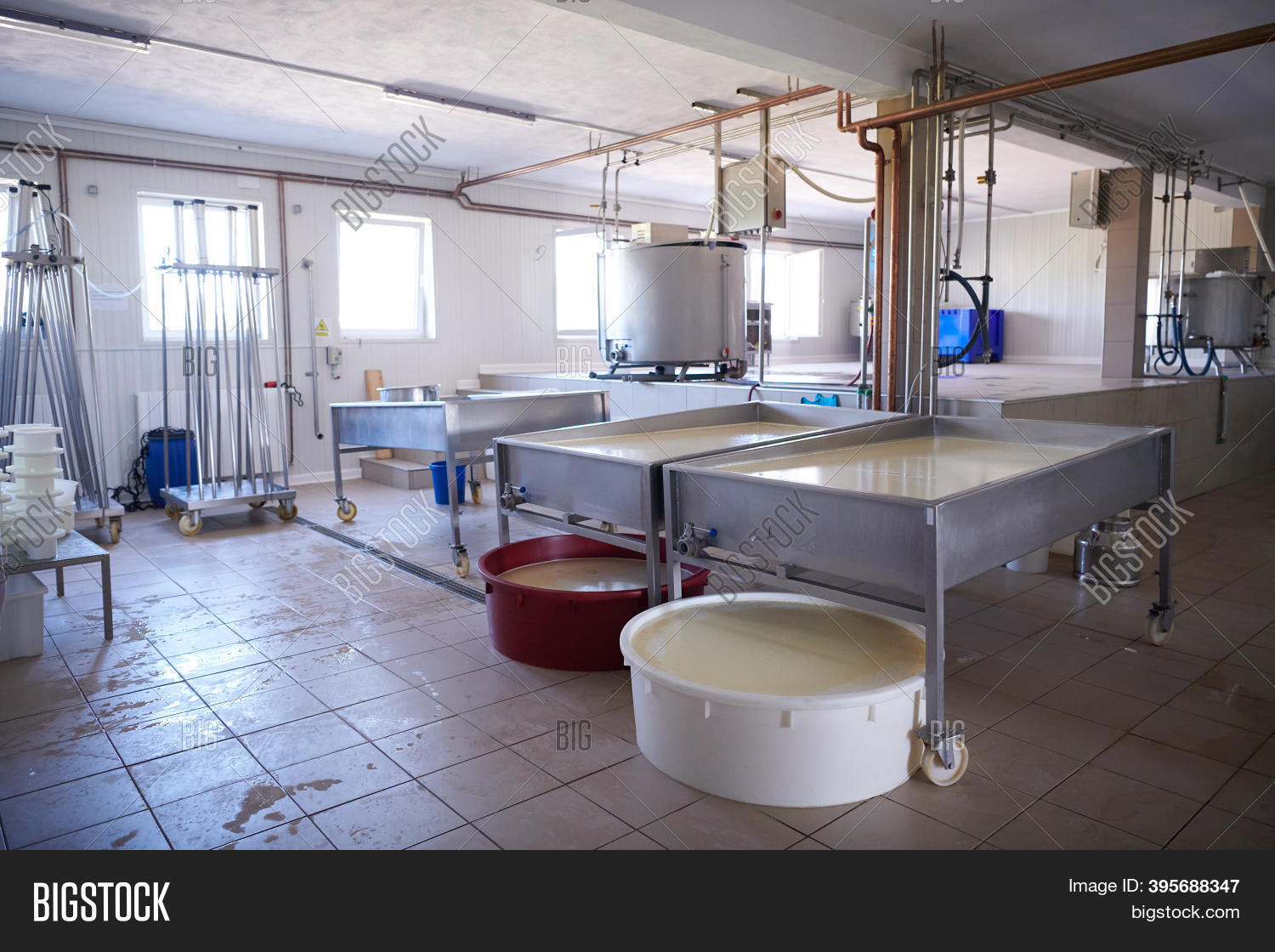 Cheese Factory Image & Photo (Free Trial) | Bigstock