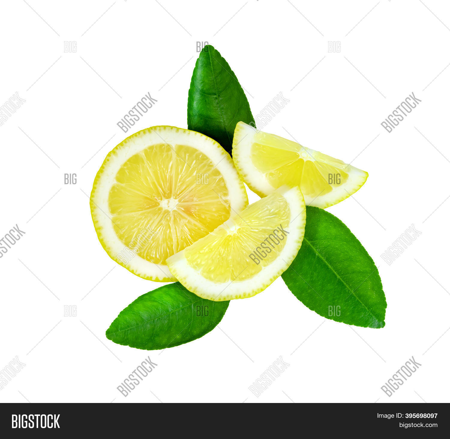 Lemon Leaf Isolated On Image & Photo (Free Trial) | Bigstock