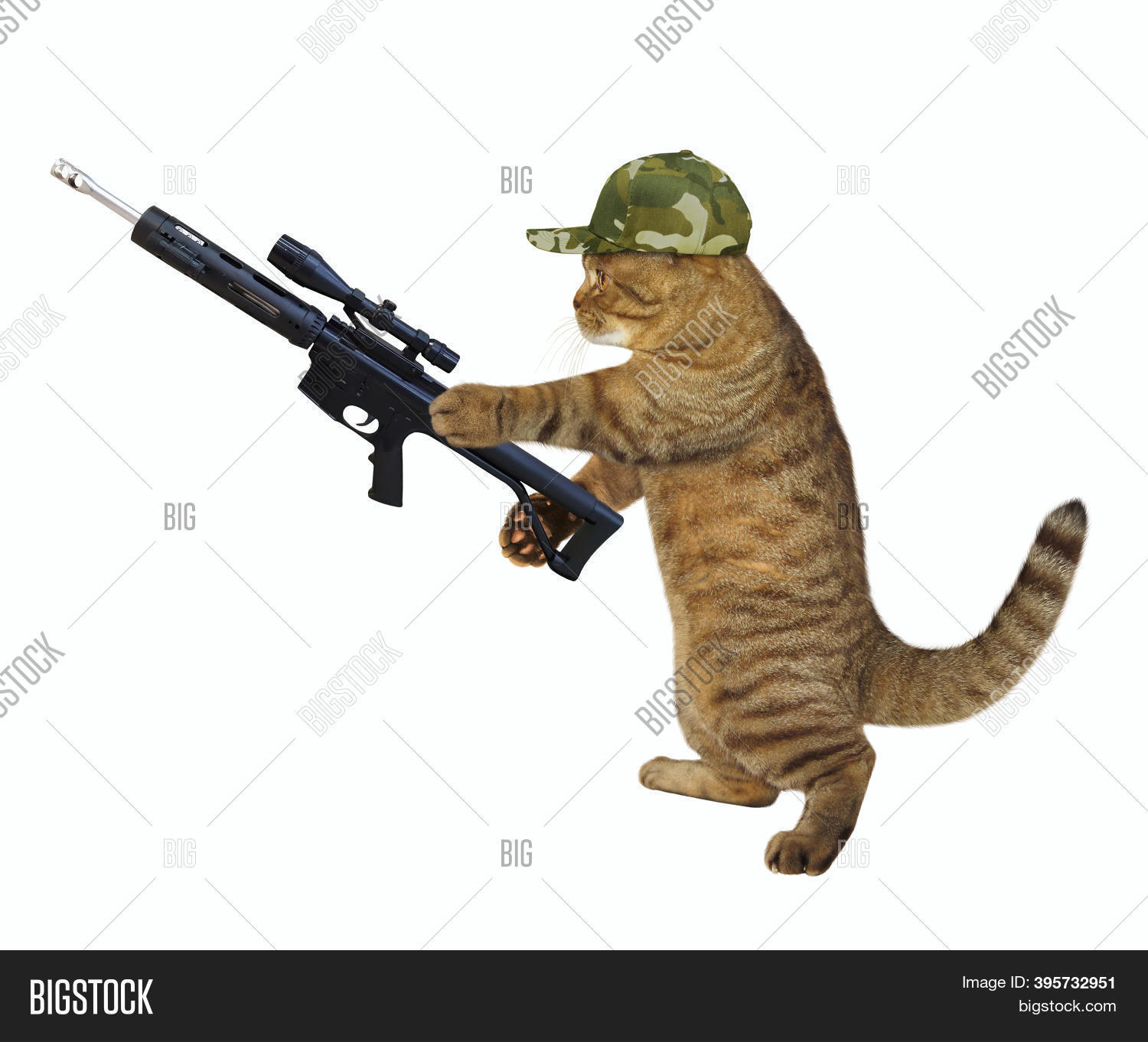 Cat Military Uniform Image & Photo (Free Trial) | Bigstock