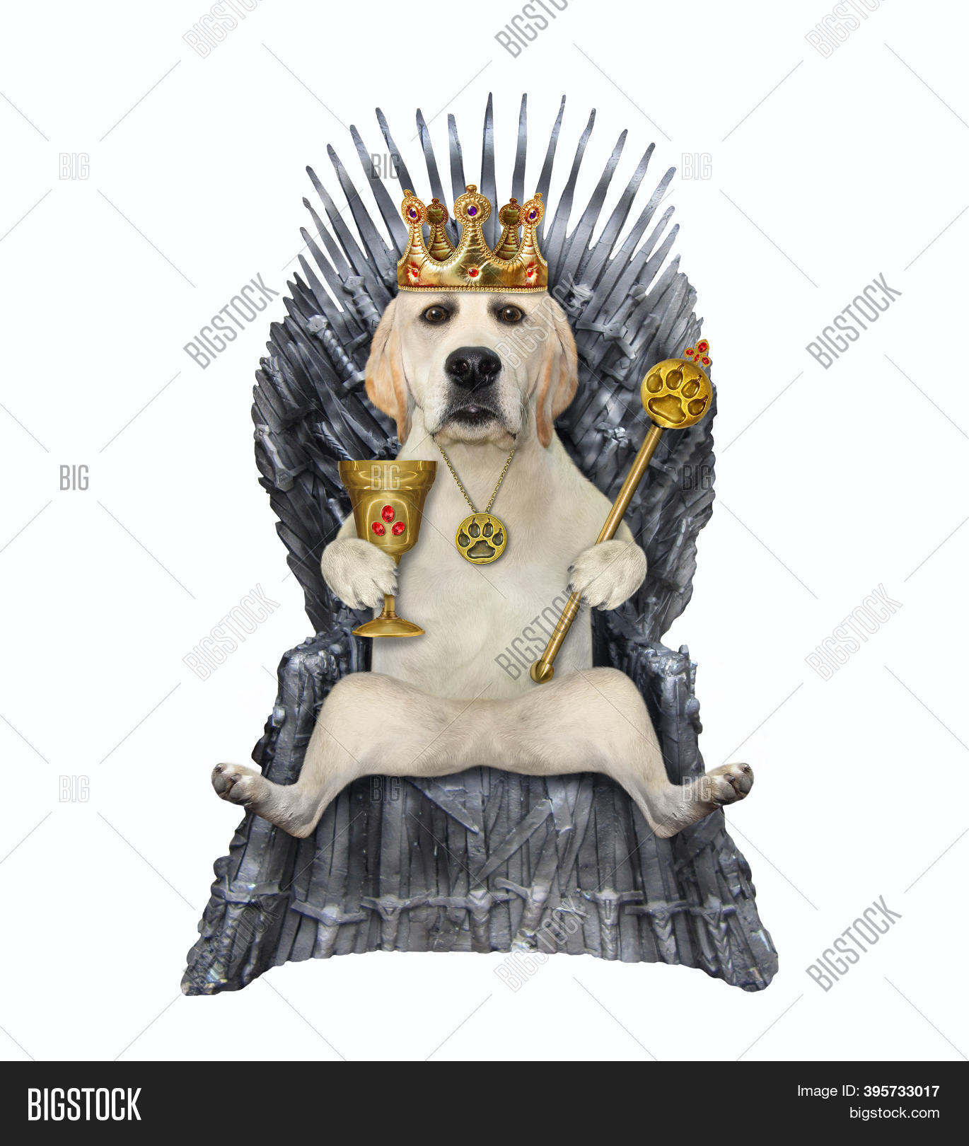 Dog King Gold Crown Image & Photo (Free Trial) | Bigstock